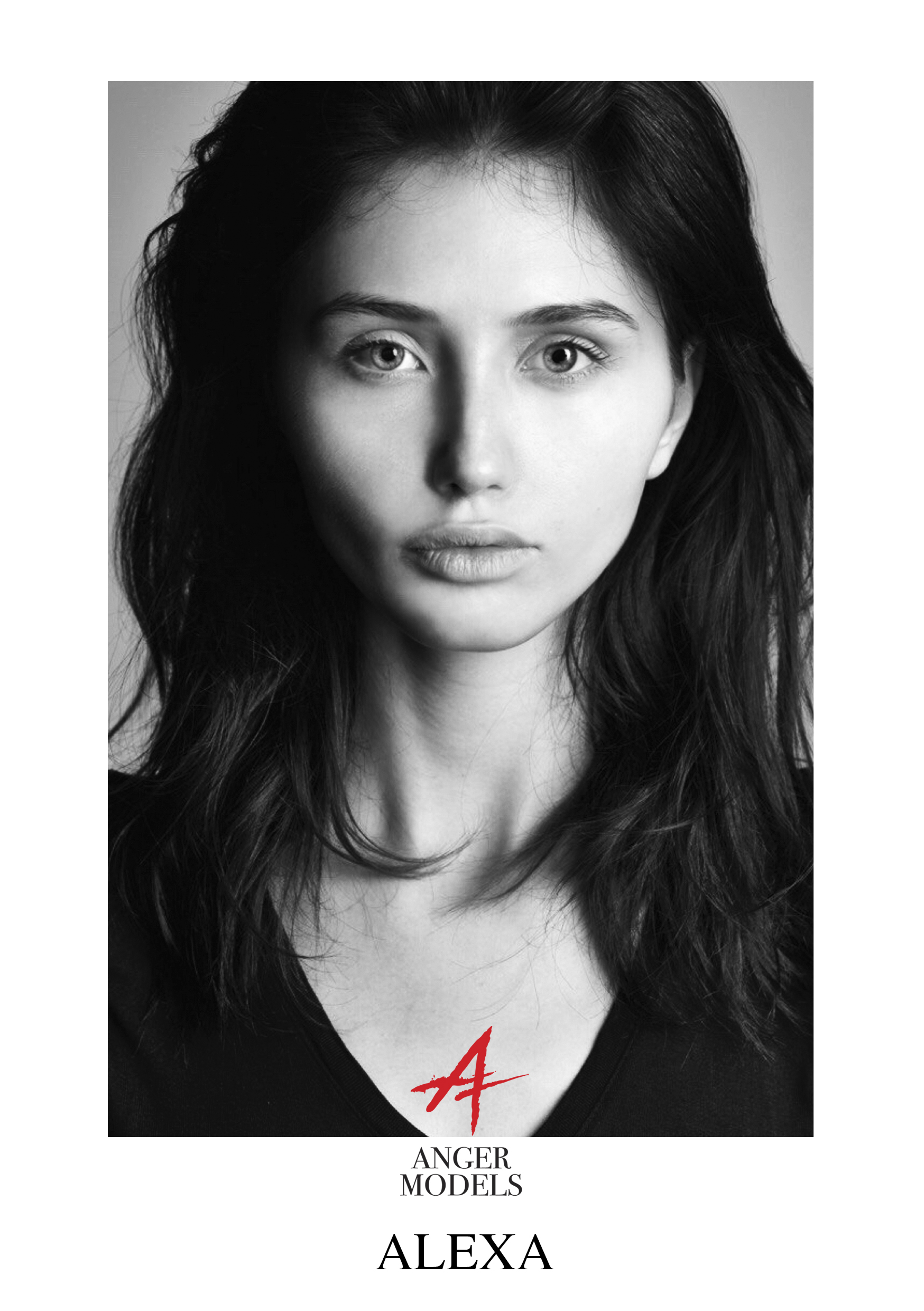 Main Board - Anger Models