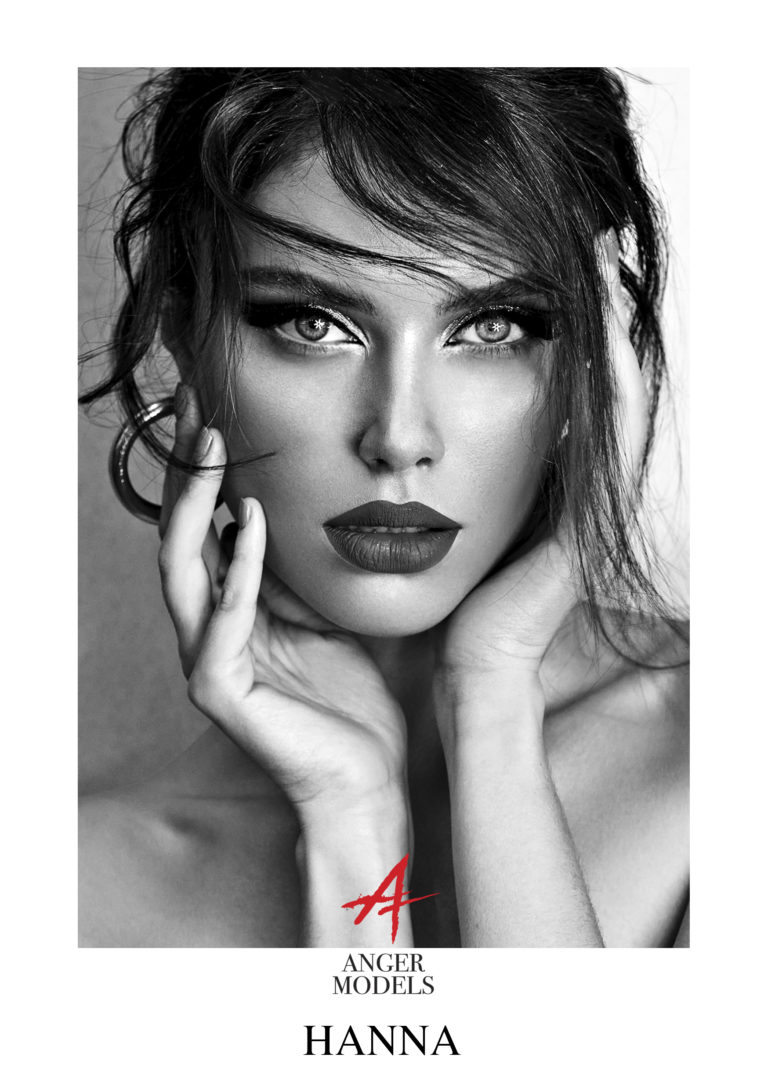 Main Board - Anger Models