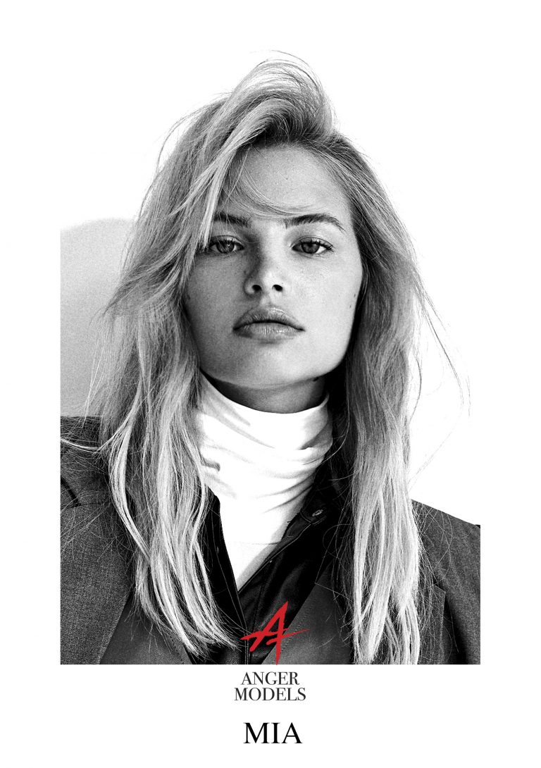 Main Board - Anger Models