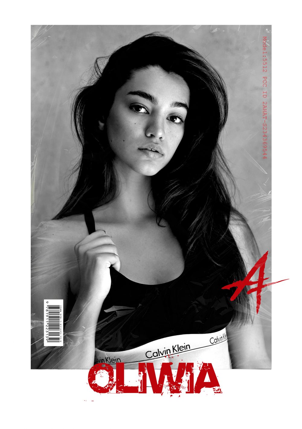 commercial - Anger Models