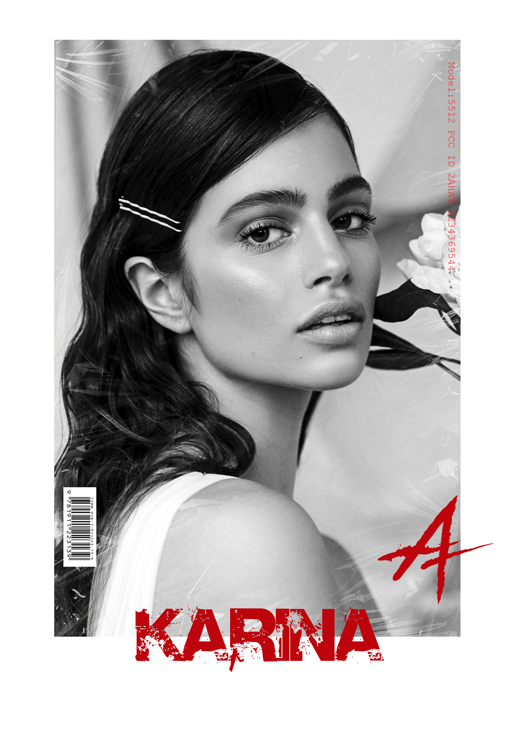 Numbers - Anger Models