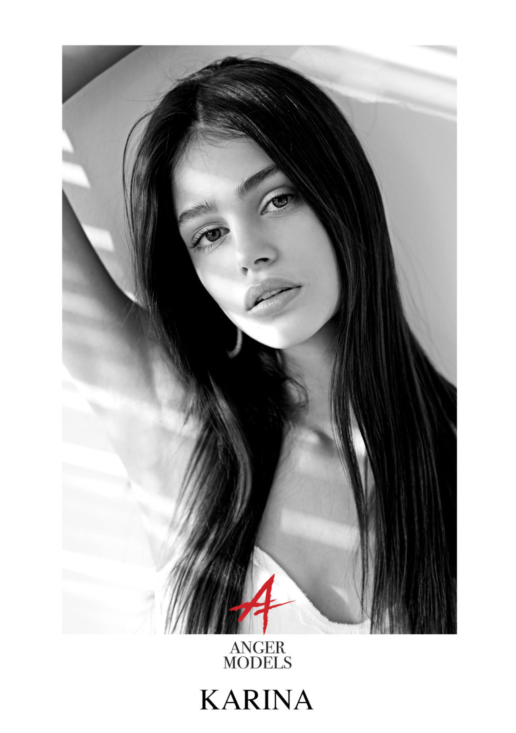 Main Board - Anger Models