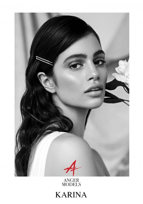 Main Board - Anger Models