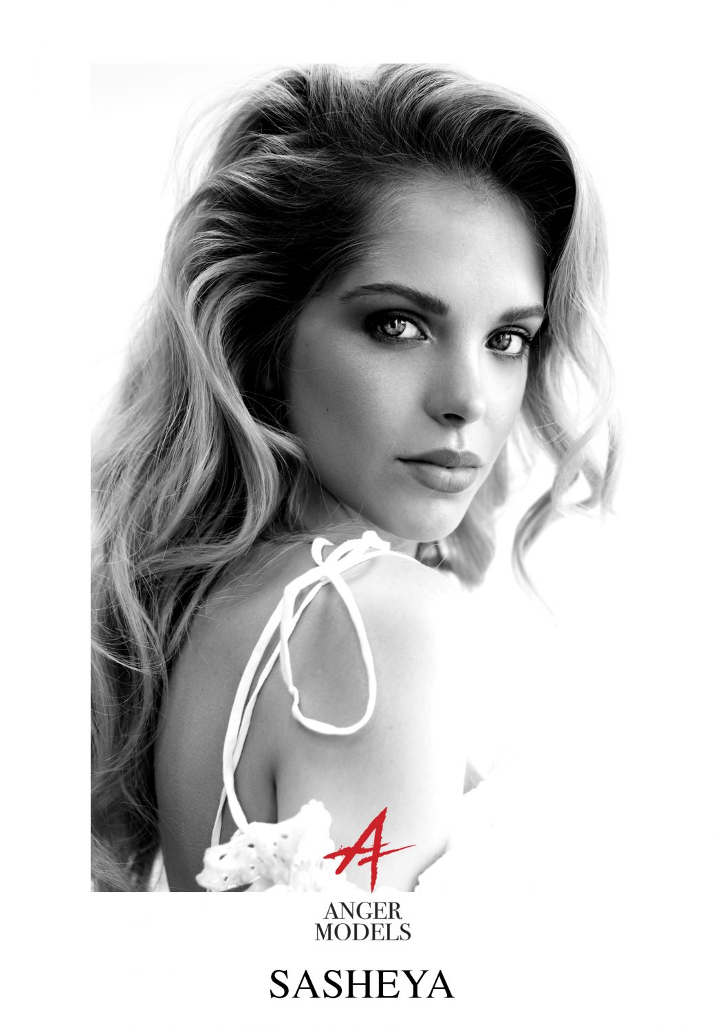 Main Board - Anger Models