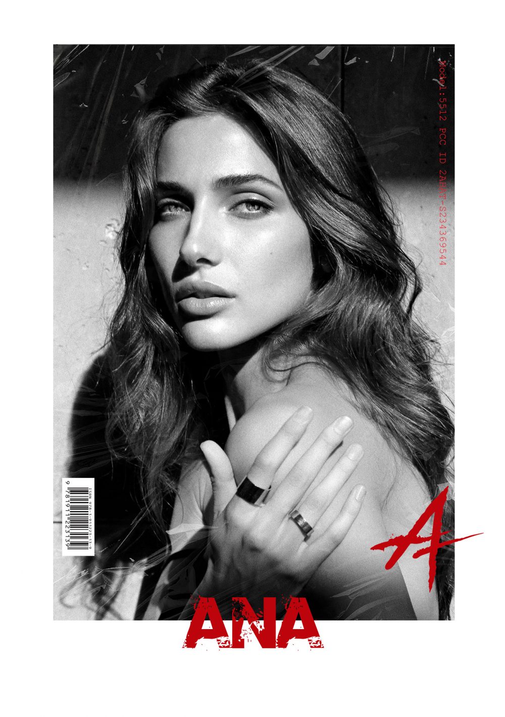 Main Board - Anger Models