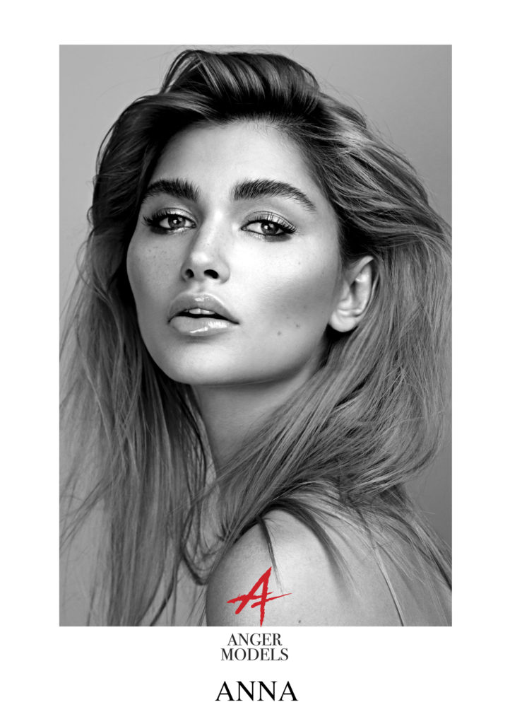 Main Board - Anger Models