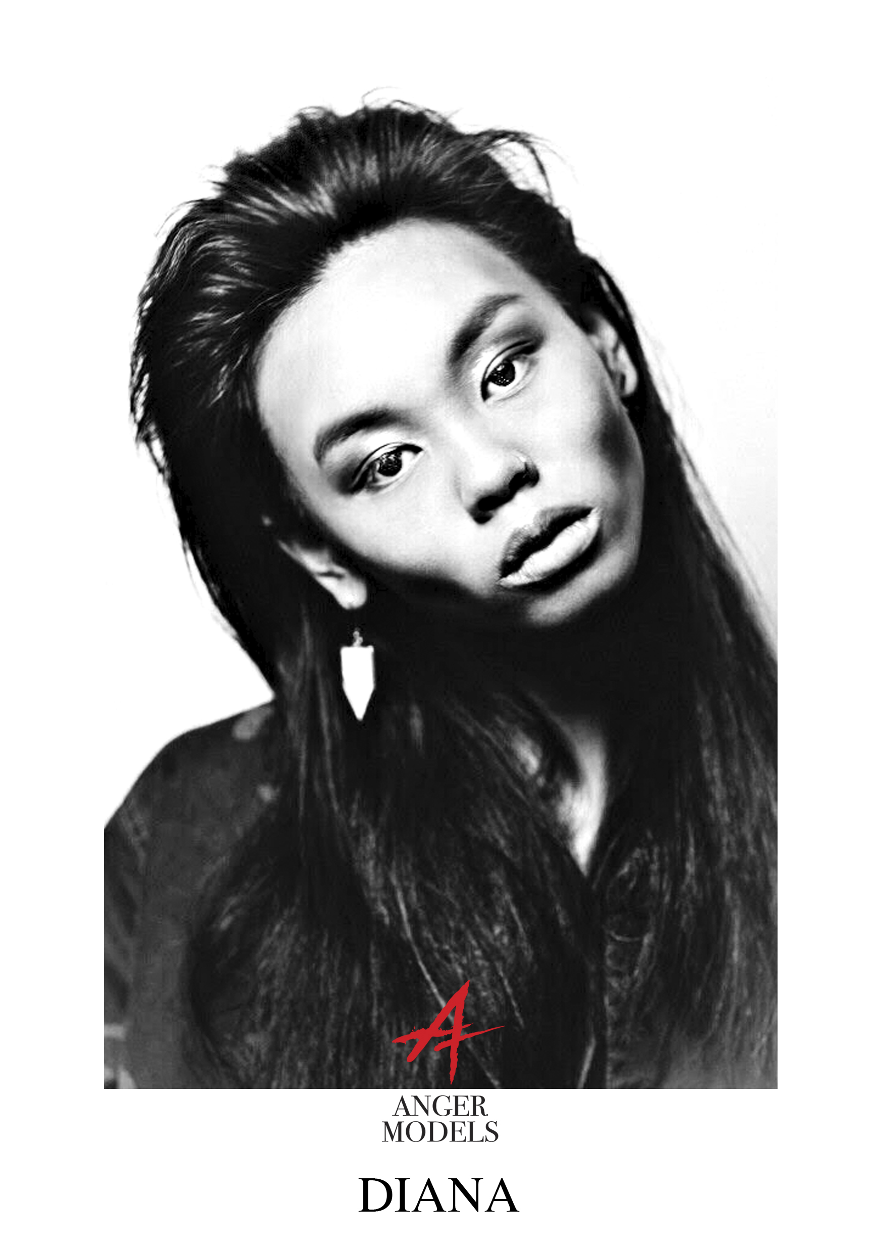 Main Board - Anger Models