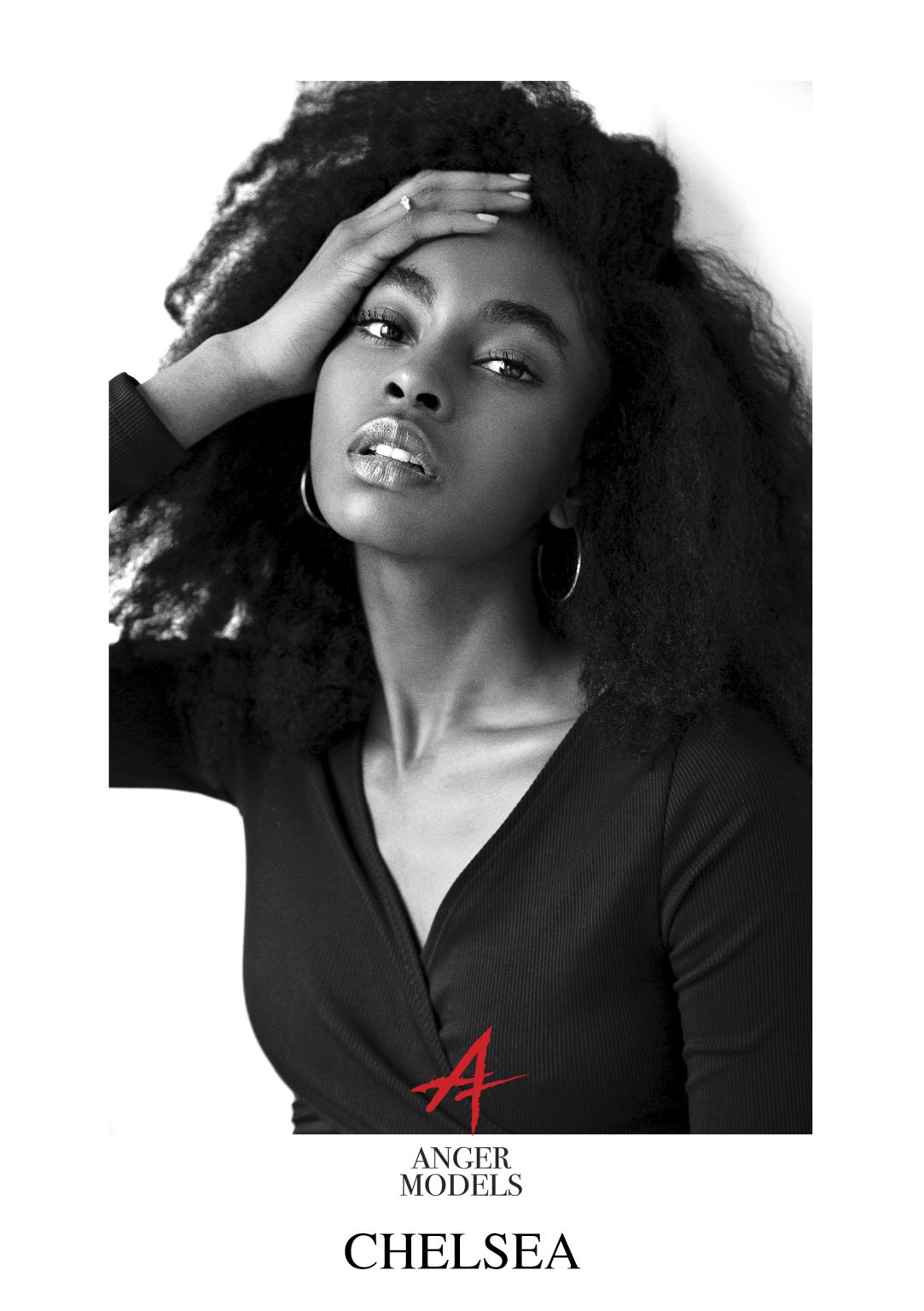 Main Board - Anger Models