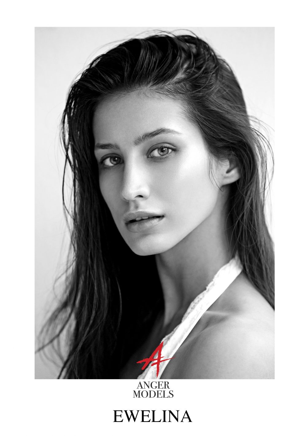 Main Board - Anger Models