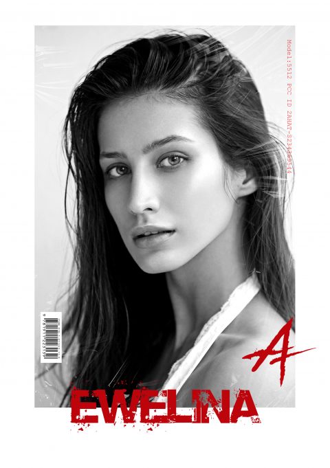 Main Board - Anger Models