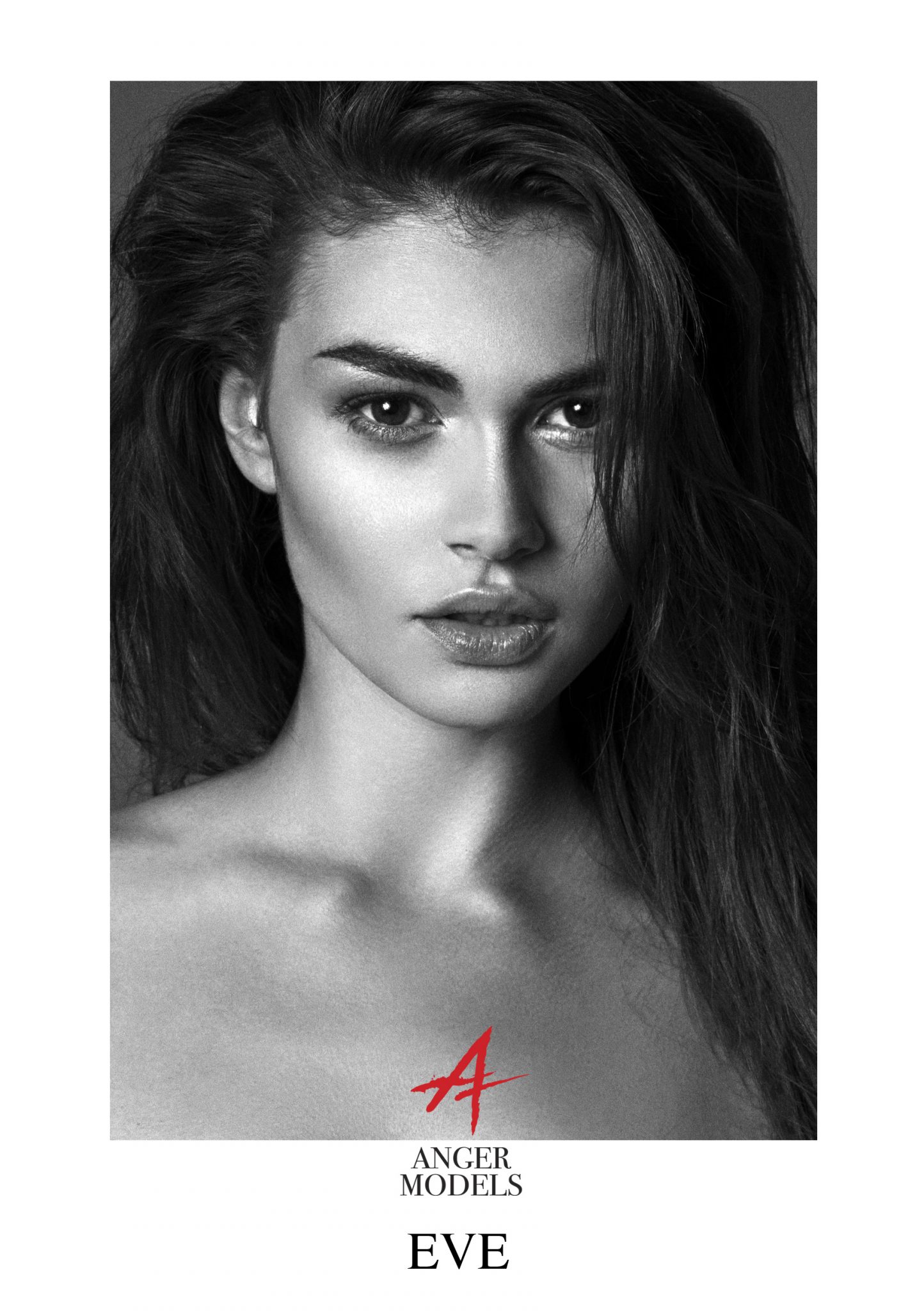 Main Board - Anger Models