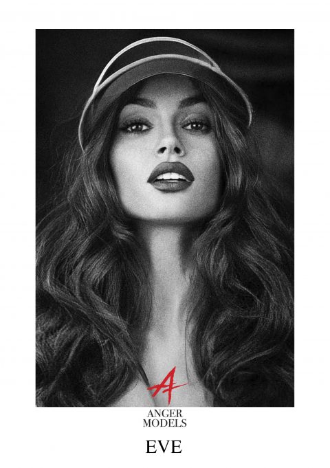 Main Board - Anger Models