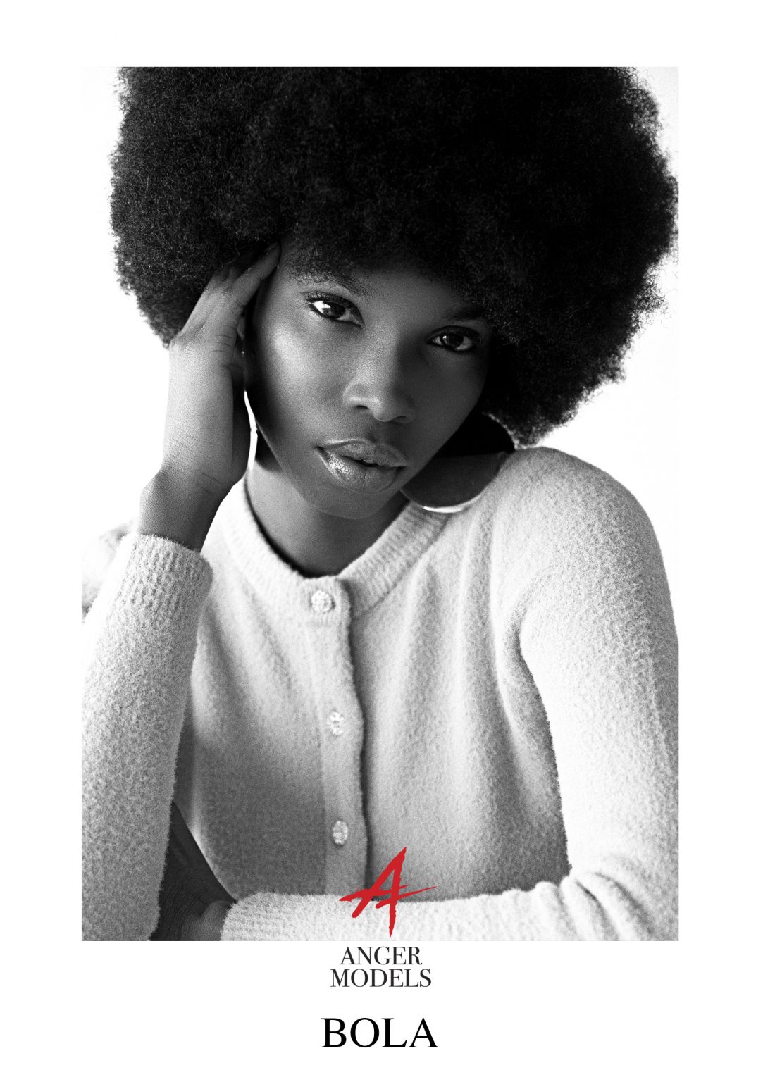 Main Board - Anger Models