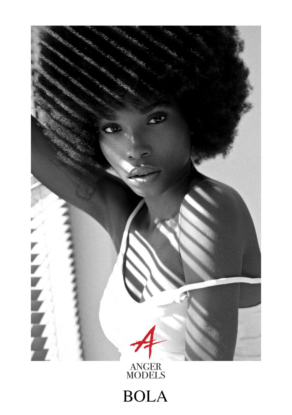 Main Board - Anger Models