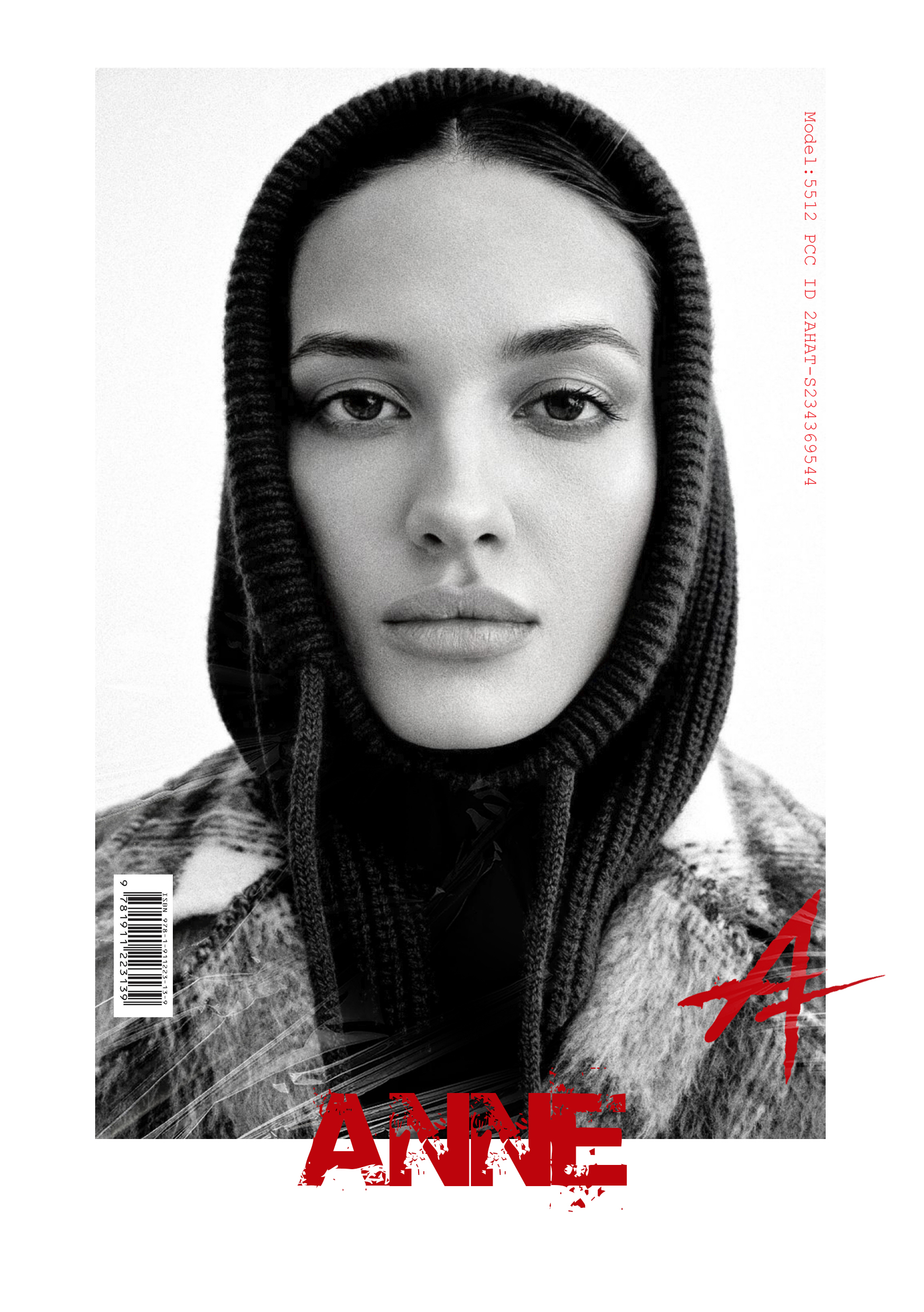 Main Board - Anger Models