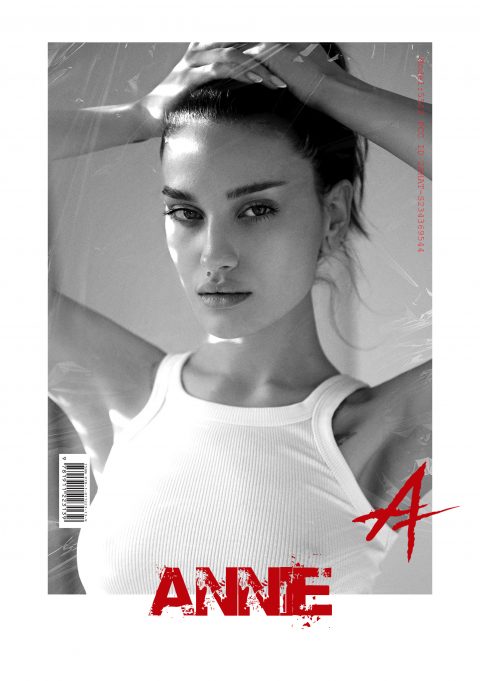 Main Board - Anger Models