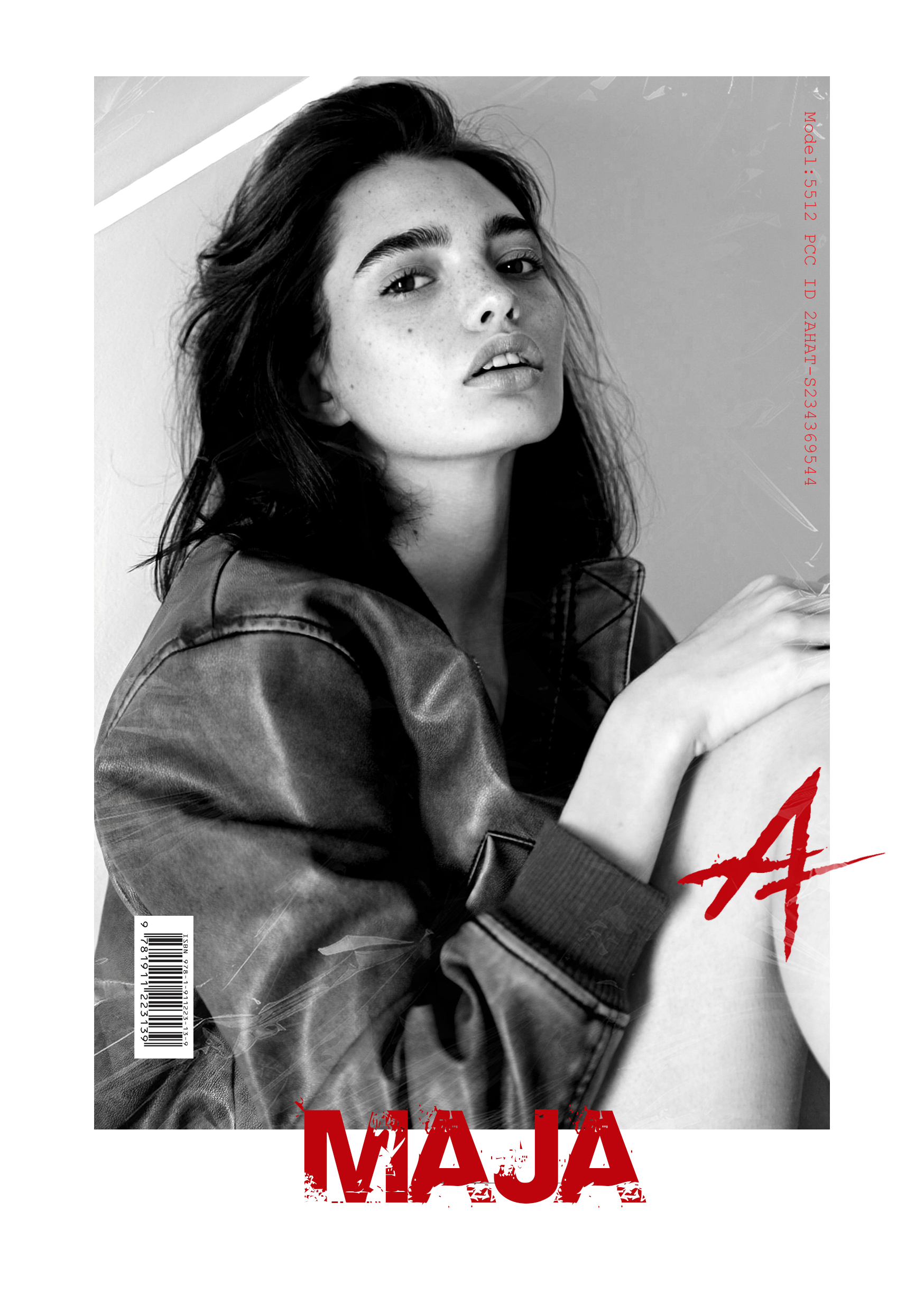 Main Board - Anger Models