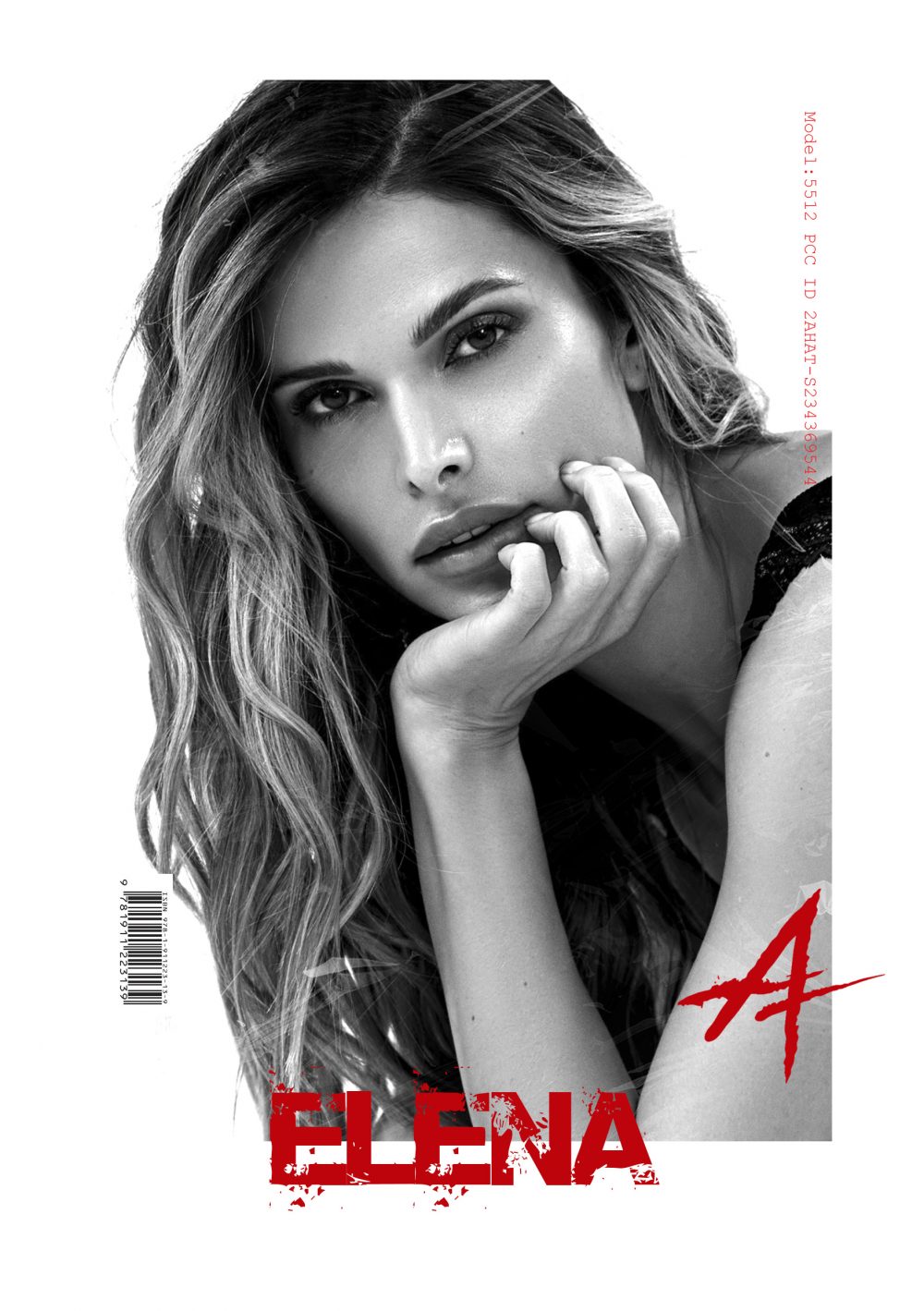 Main Board - Anger Models