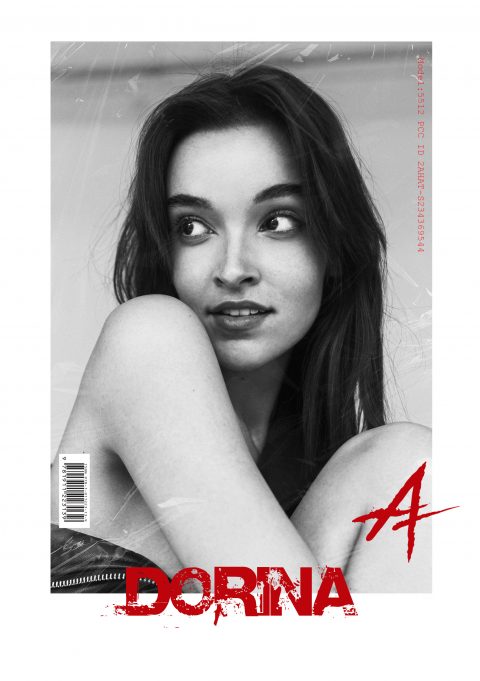 Main Board - Anger Models