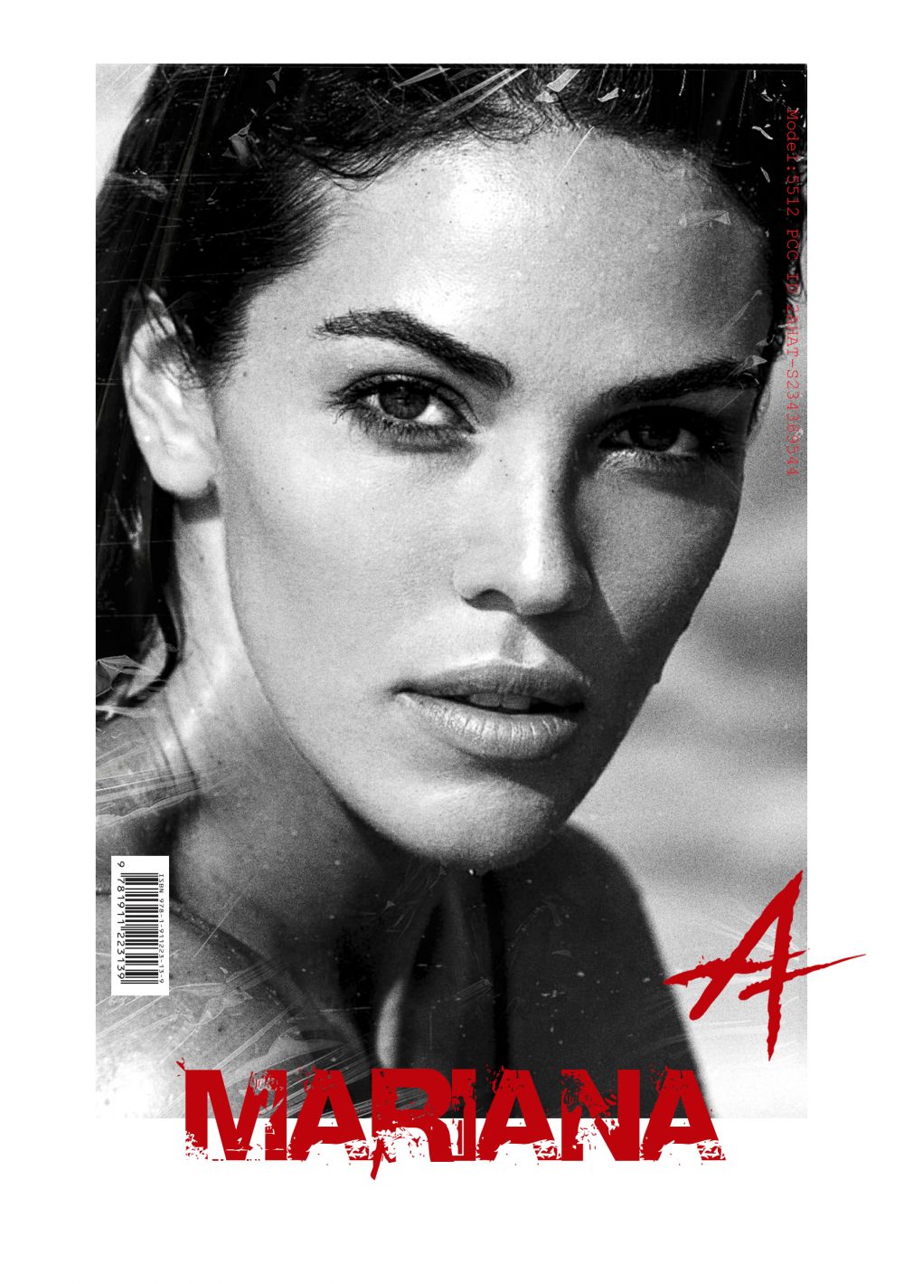 commercial - Anger Models