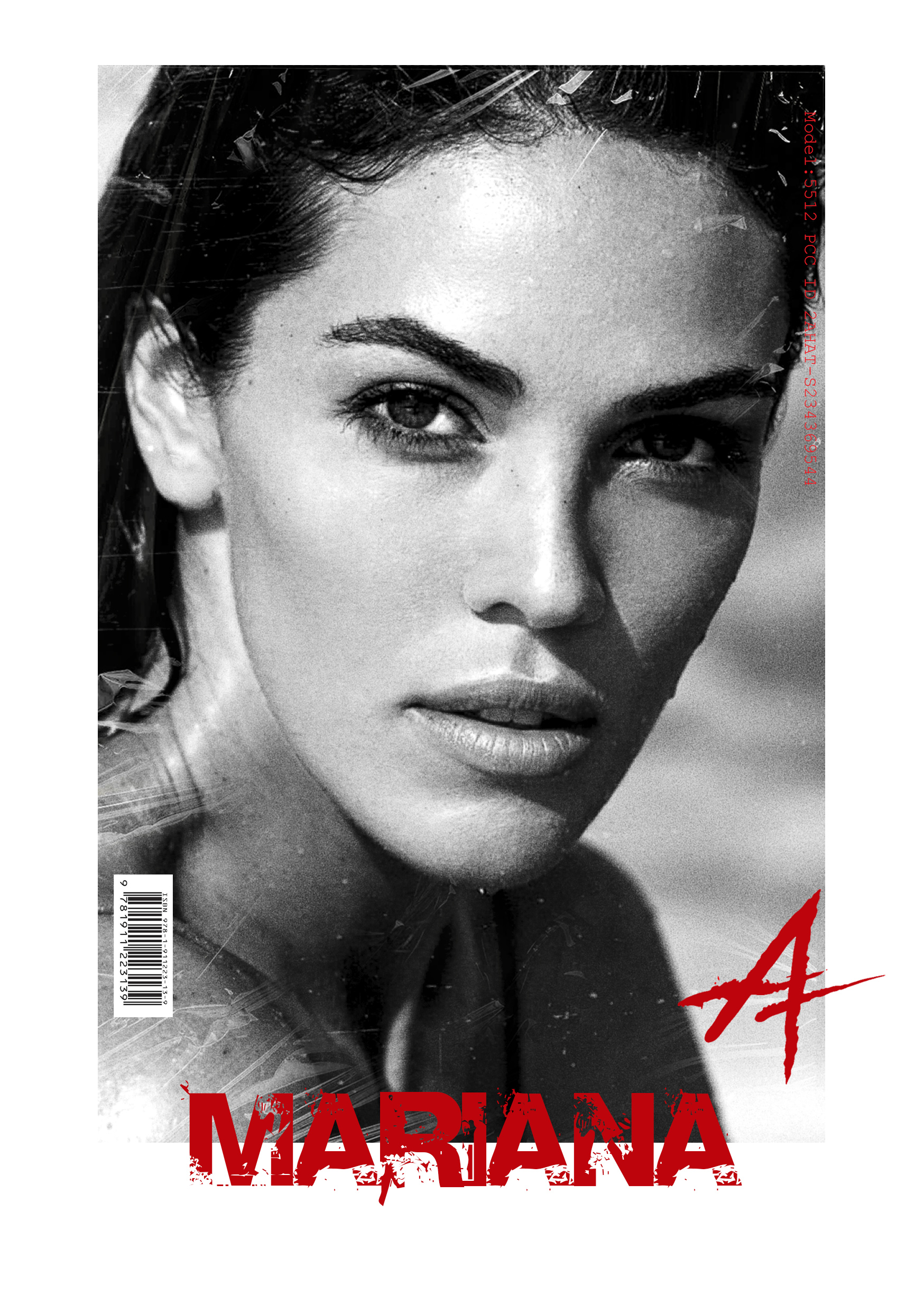 commercial - Anger Models