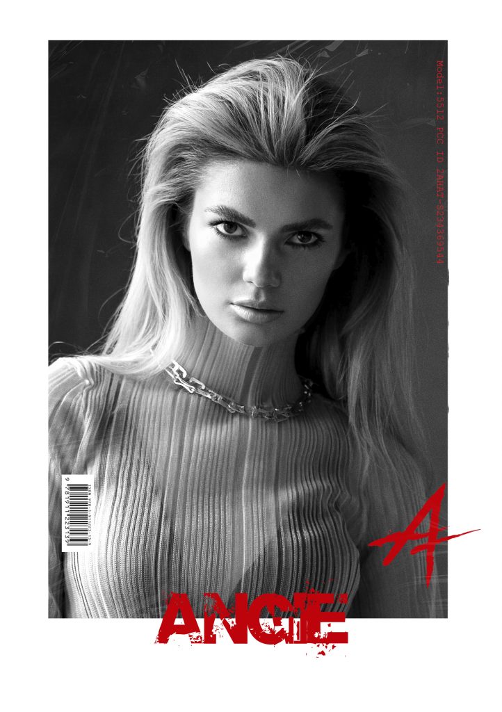 Main Board - Anger Models