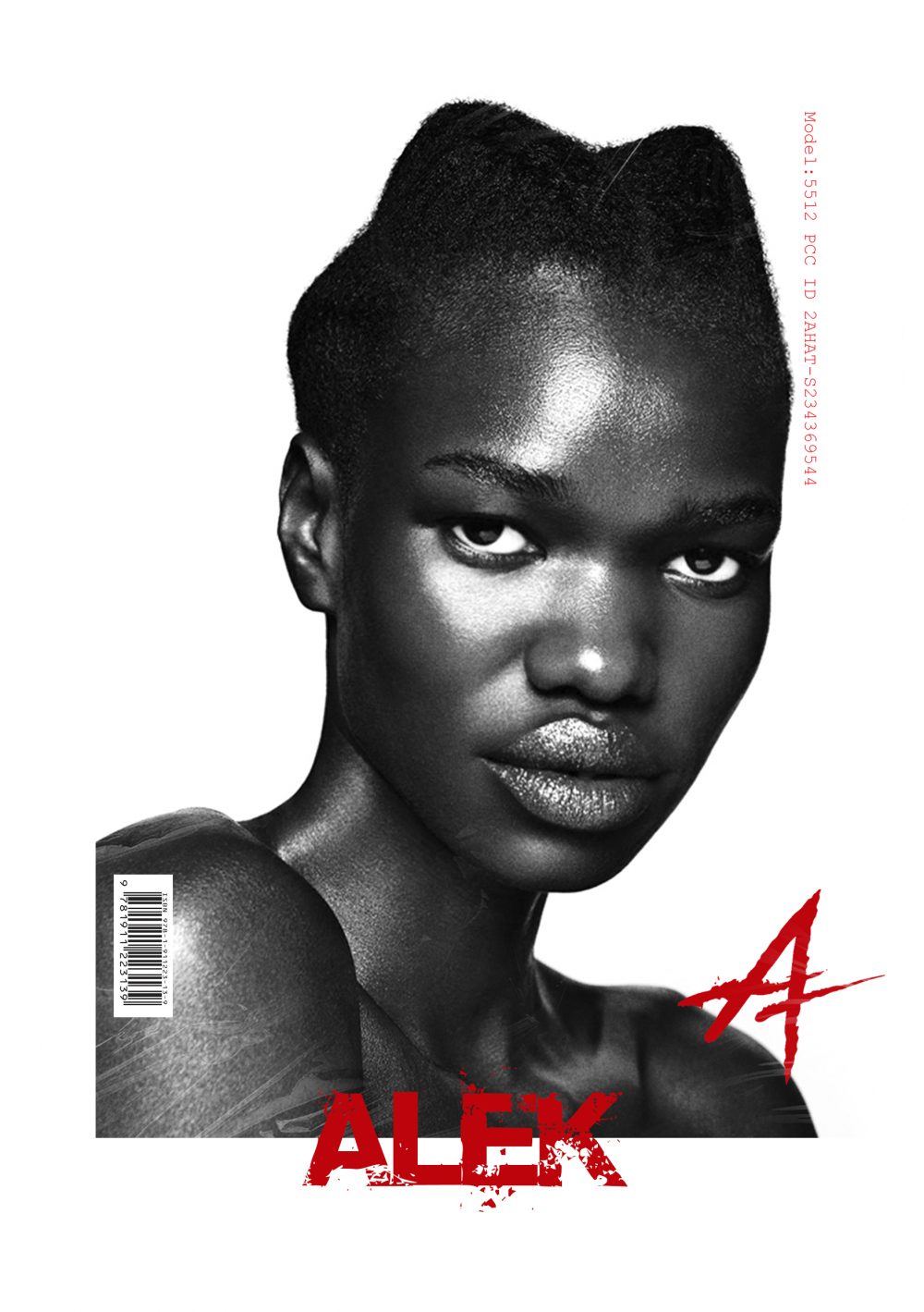 Numbers - Anger Models