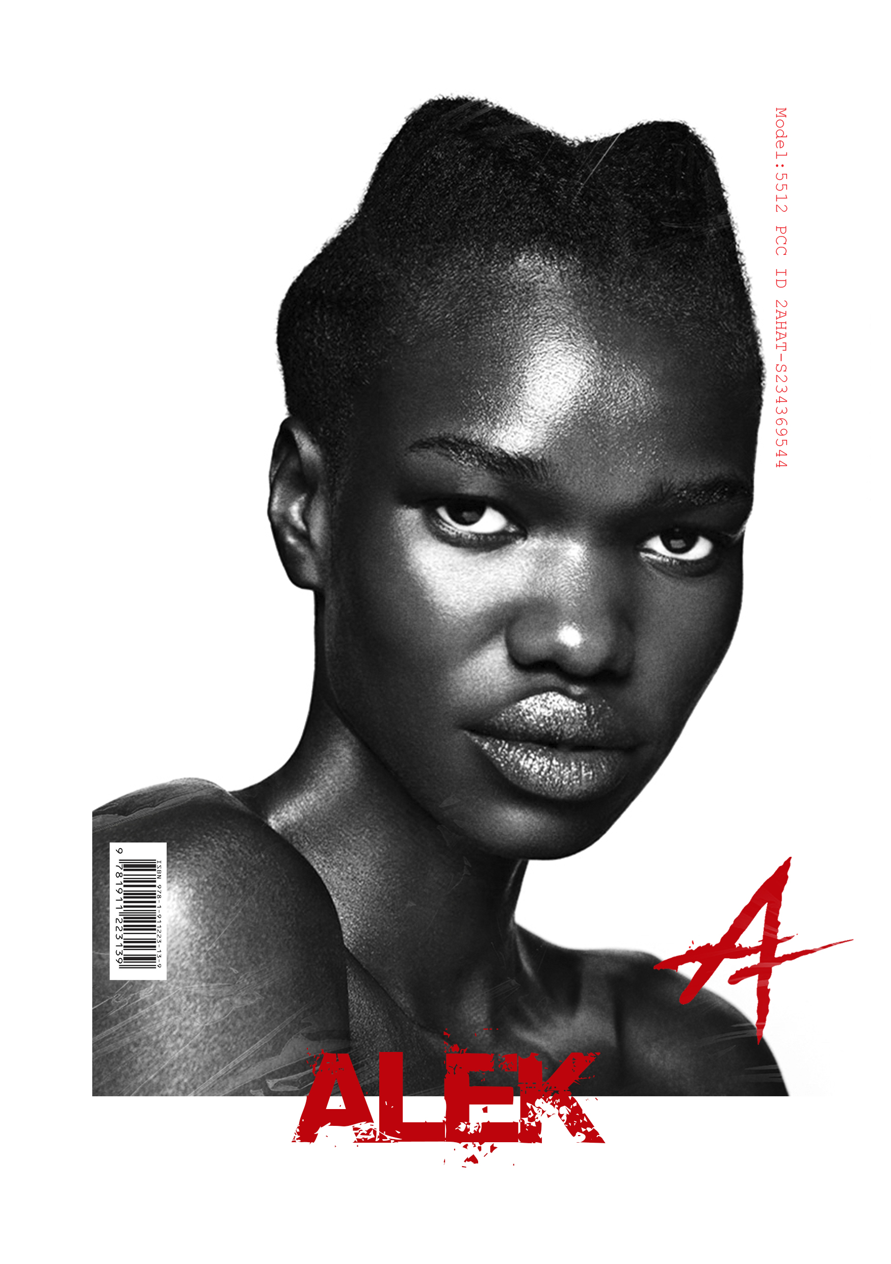 Main Board - Anger Models