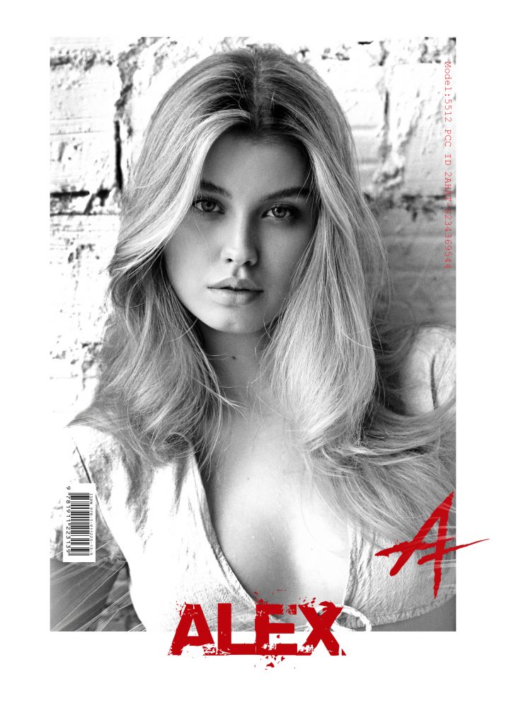 Main Board - Anger Models