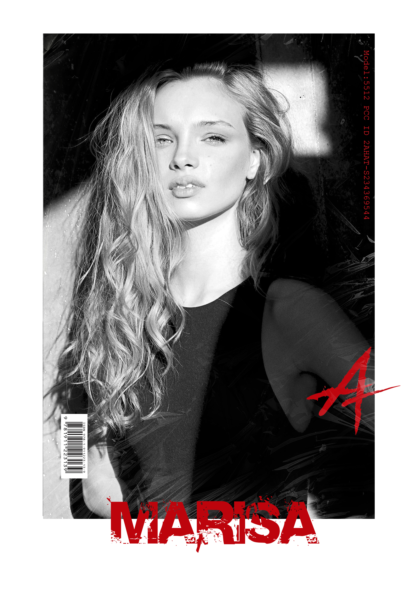 MARISA - Anger Models