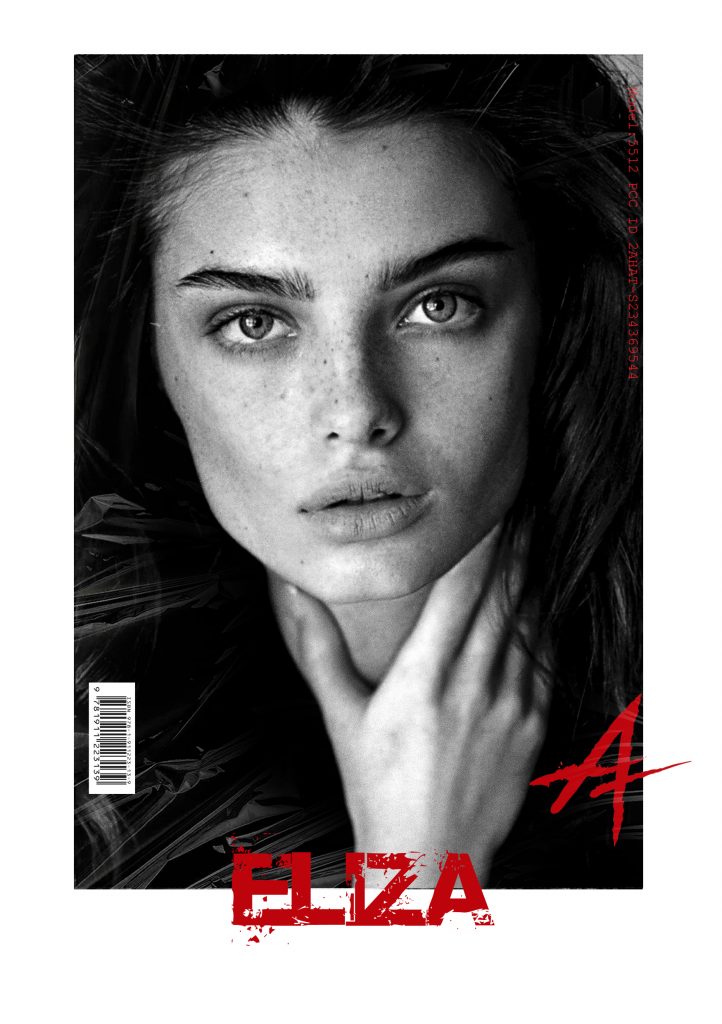 Main Board - Anger Models