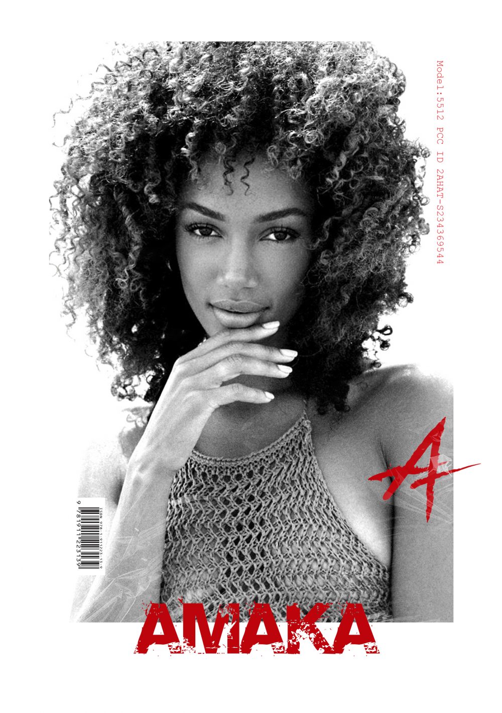 commercial - Anger Models